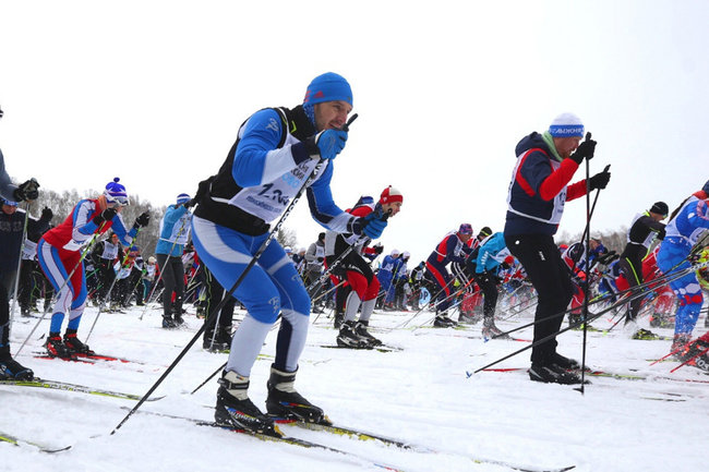В Новосибирской области проведут массовую лыжную гонку: Власть и Общество: Общество: INFOX.ru